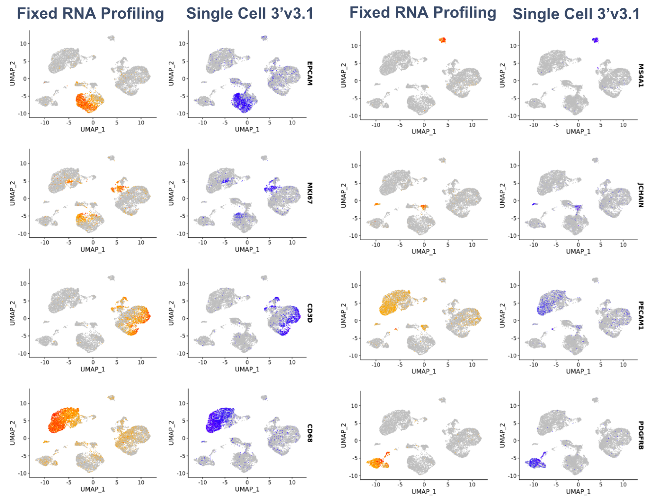 How does Fixed RNA Profiling (Flex) data compare to 3' Gene Expression ... How does Fixed RNA Profiling (Flex) data compare to 3' Gene Expression ...